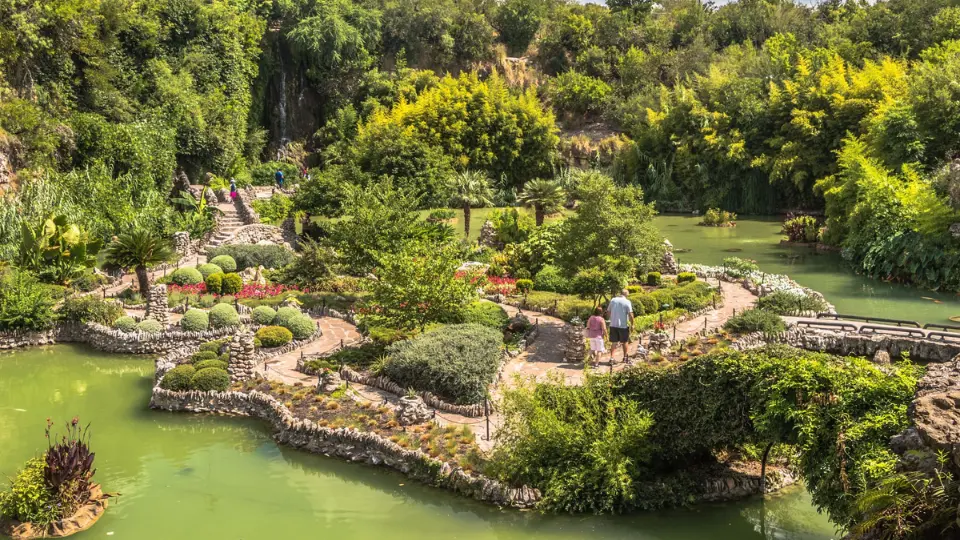 Japanese Tea Gardens - SUMA